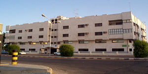 Al Hoty Stanger Ltd Co