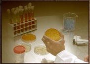 Al Hoty Stanger Ltd Co